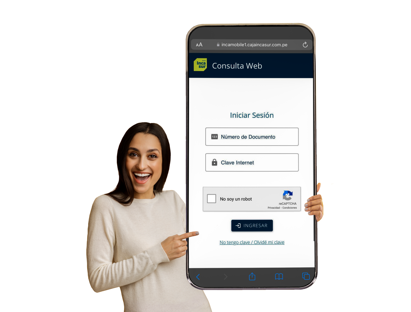 CONSULTA WEB - Caja Incasur